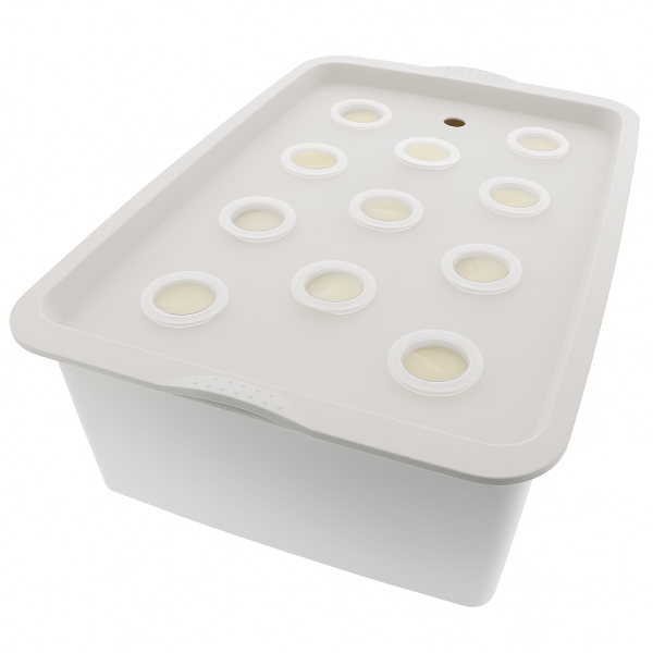 Indoor hydroponic box with 11 planting holes - hydroponic system for ...