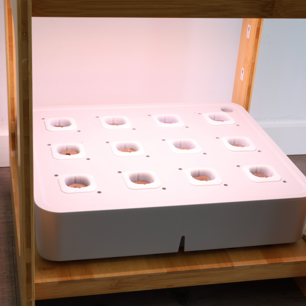 Indoor hydroponic garden with 12 planting holes - hydroponic table for ...